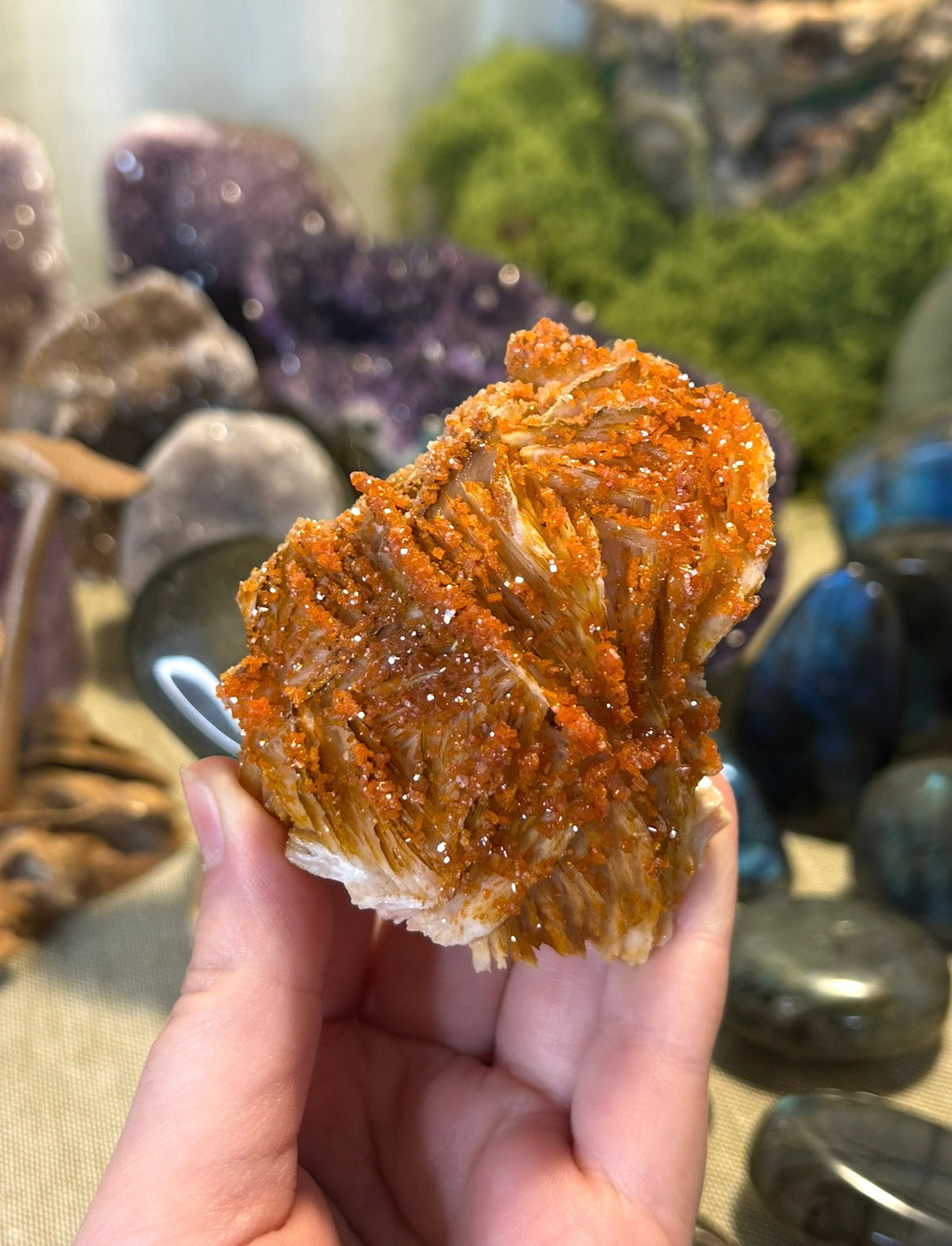 Crystal Kid Shop Australia