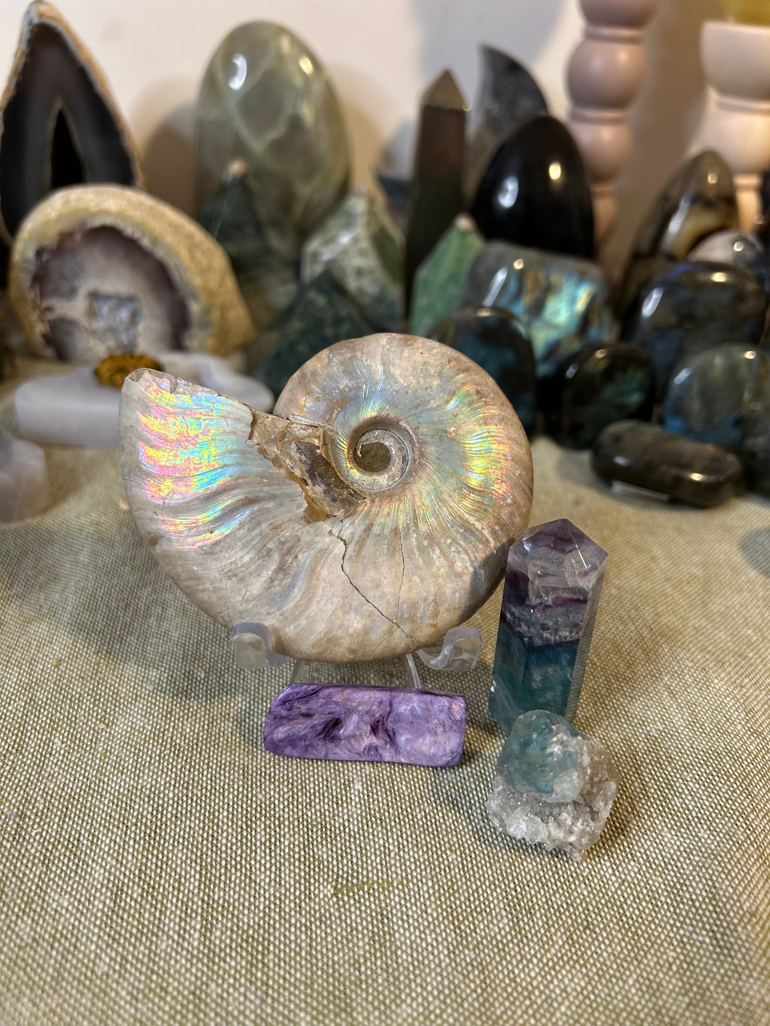 Pearl Live Claims – Crystal Kid